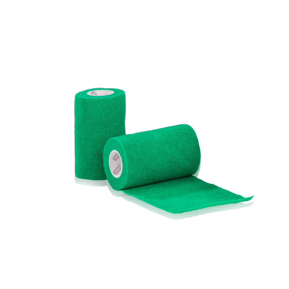 Intracare - optimal hoof care with Intra Hoof-fit Pharma gel for dairy ...